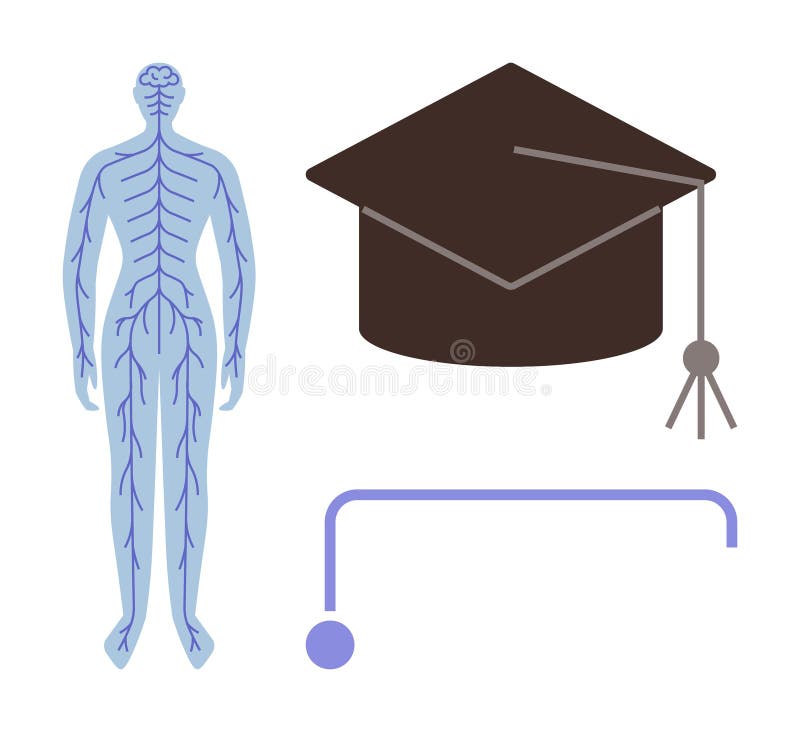 Human Nervous System and Graduation Cap Representing Education and ...