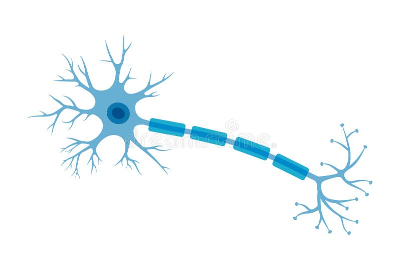 Brain Neuron Symbol. Human Neuron Cell Sign Stock Vector - Illustration ... Brain Neuron Symbol. Human Neuron Cell Sign Stock Vector - Illustration ...