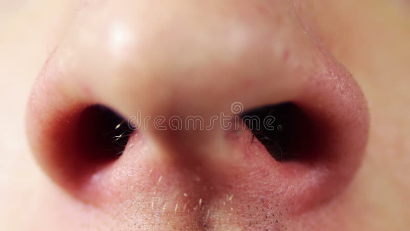 Human nose icon animation stock footage. Video of perception - 239565180