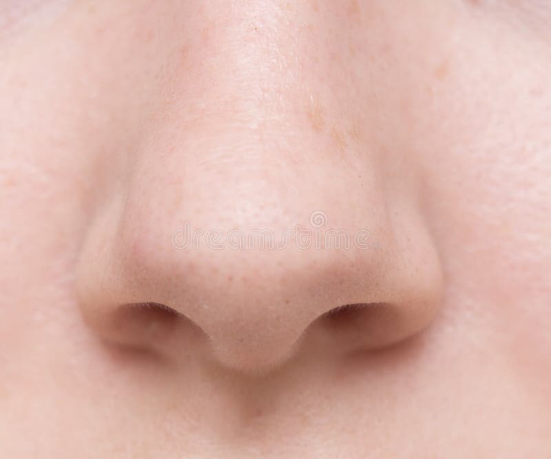29,996 Human Nose Stock Photos - Free & Royalty-Free Stock Photos from Dreamstime