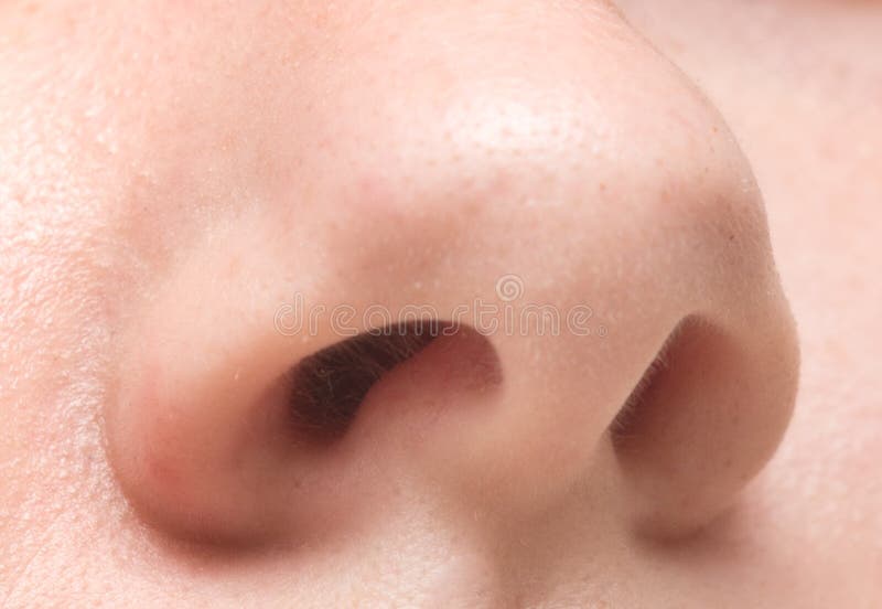 26,456 Human Nose Photos - Free & Royalty-Free Stock Photos from Dreamstime