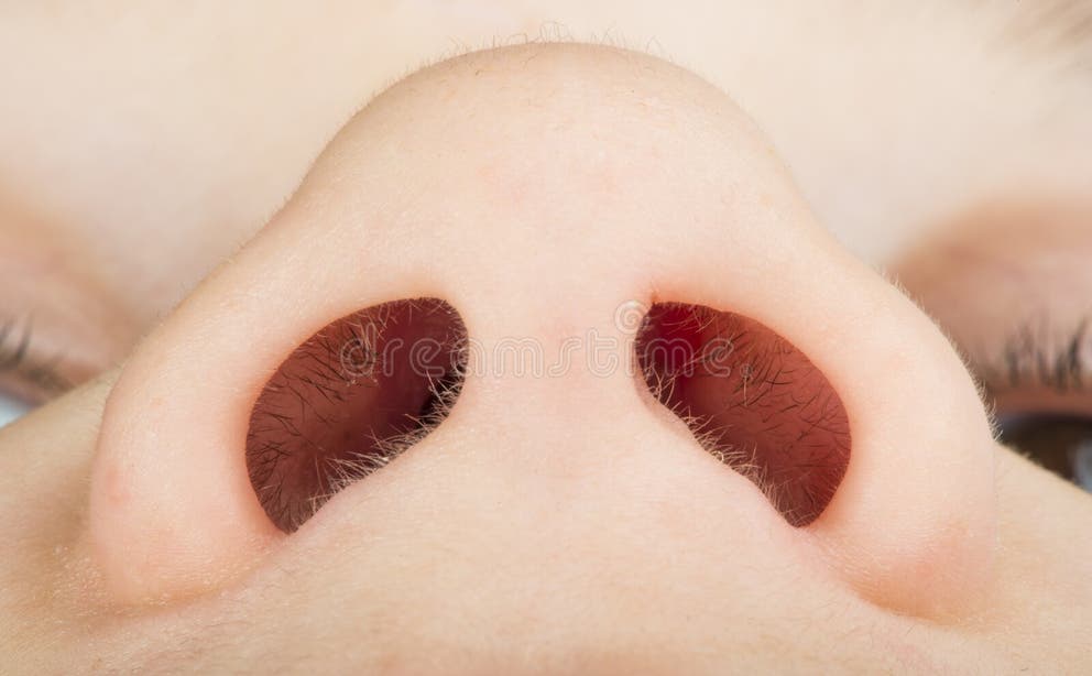 Human nose stock photo. Image of closeup, macro, face - 31369002