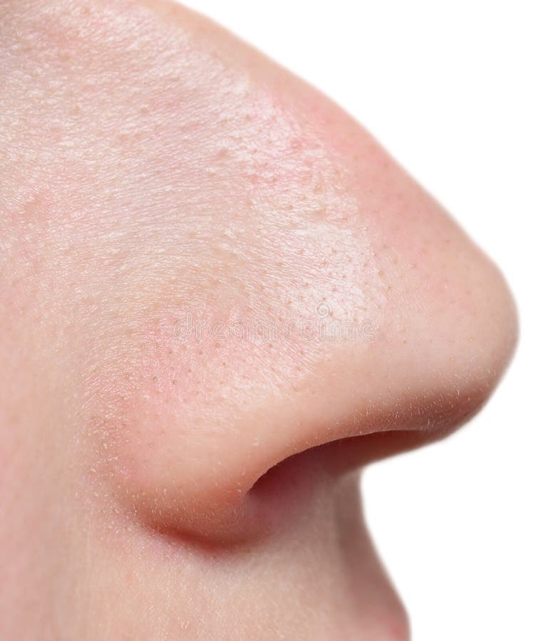 Human nose stock photo. Image of closeup, macro, nose - 30725120