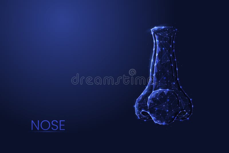 Human Nose Low Poly Concept Vector Illustration. Stock Vector ...