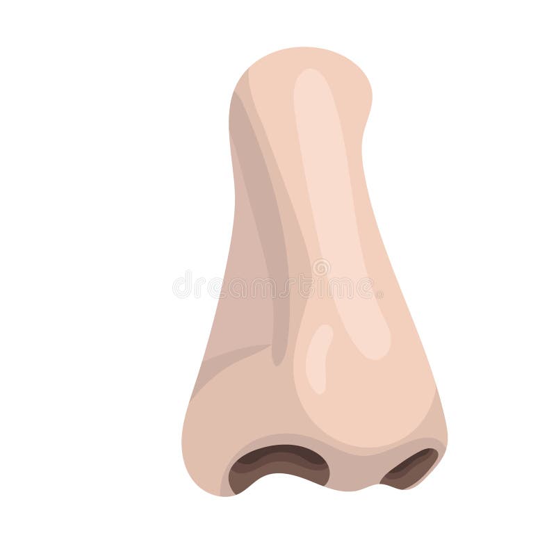 The Human Nose. Part of the Human Body. Vector Illustration Isolated on ...