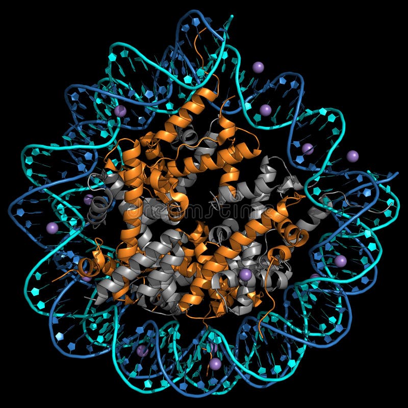 DNA with histone protein stock illustration. Illustration of biology ...