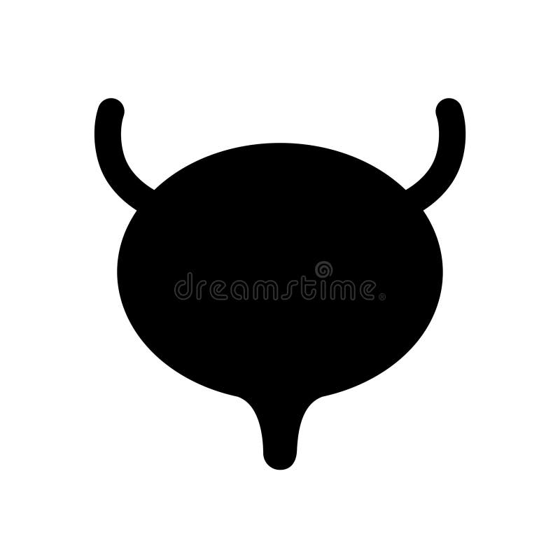 Human Organ Bladder Icon, Black Silhouette Vector Illustration Stock ...