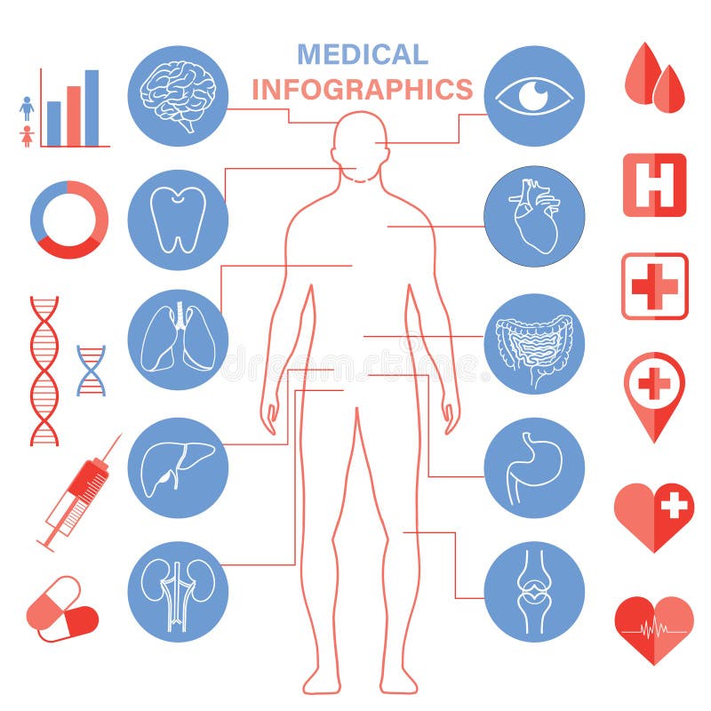 Human organ icon set stock vector. Illustration of vector - 274459838