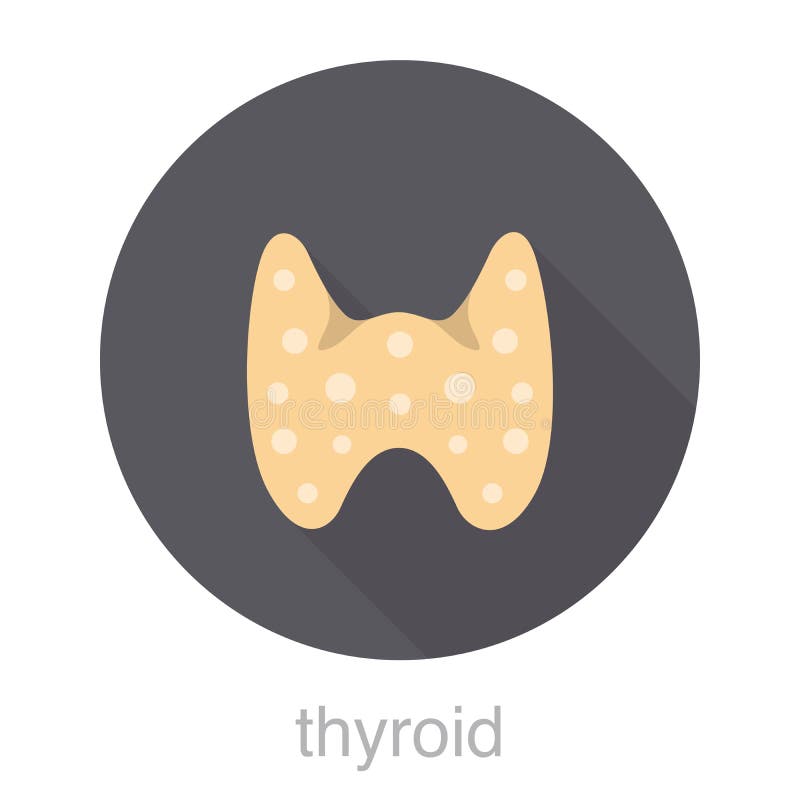 Thyroid Flat Line Icon. Vector Outline Illustration of Gland Stock ...