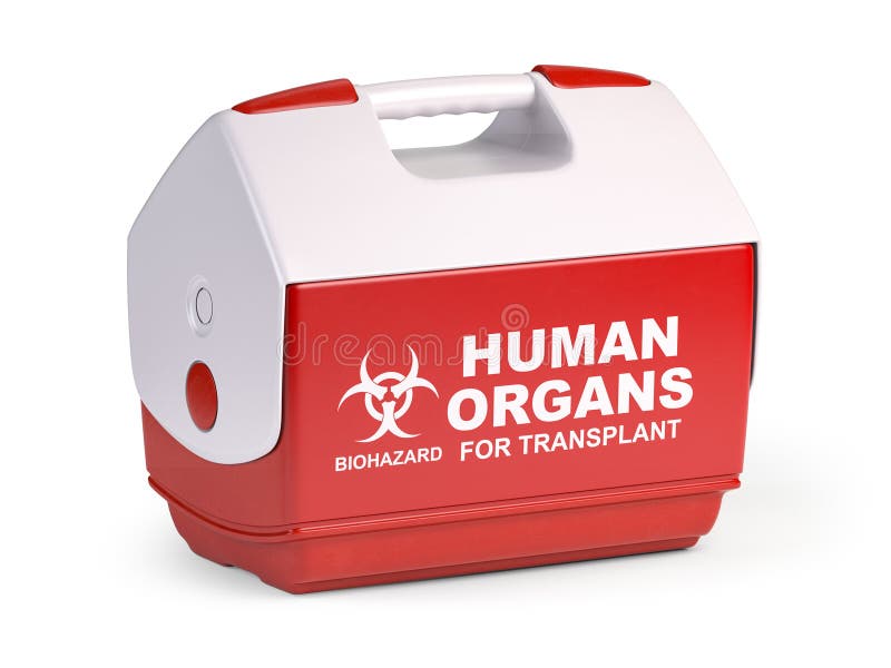 Human Organ for Transplant Refrigerator Box Isolated on White. Stock ...