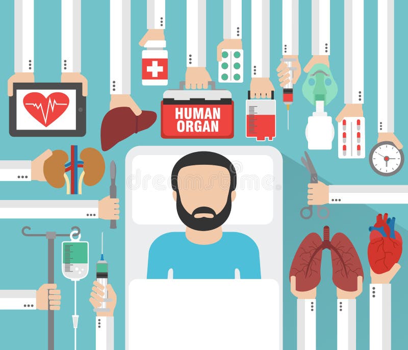 Human Organ for Transplantation Design Flat with Patient Stock Vector ...