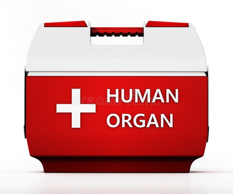 Human Organ Transport Stock Illustrations – 711 Human Organ Transport ...