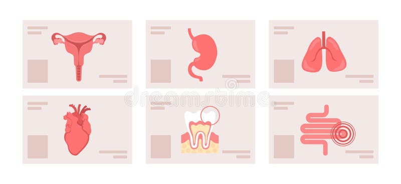Human Organs Checkup Semi Flat Color Vector Objects Set Stock Vector ... Human Organs Checkup Semi Flat Color Vector Objects Set Stock Vector ...