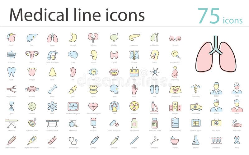 Human Organs Icon Set, Medical Icons, Vector Illustration Stock Vector ... Human Organs Icon Set, Medical Icons, Vector Illustration Stock Vector ...