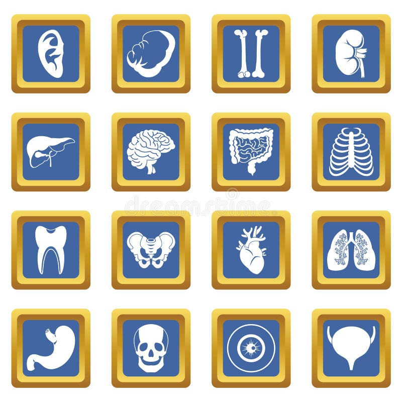 Human Organs Icons Set, Cartoon Style Stock Vector - Illustration of ...