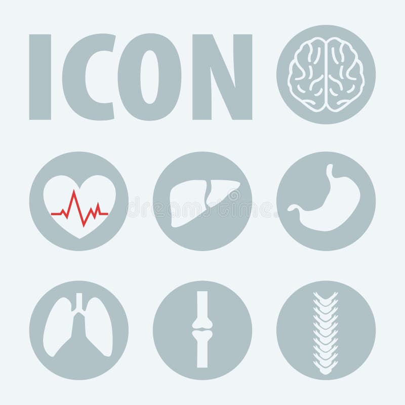 Human organs icons, vector stock vector. Illustration of health - 116878794