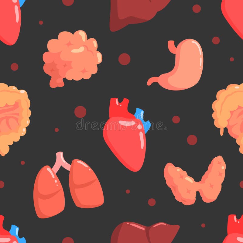 Wallpaper Kidney Stock Illustrations – 450 Wallpaper Kidney Stock ...