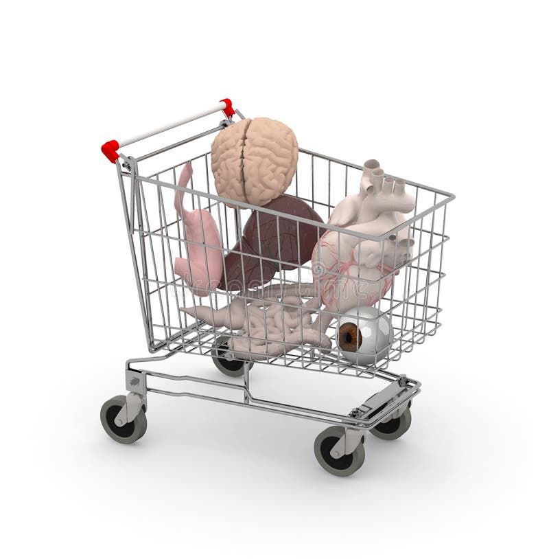 Human Body Cartoon Organs Stock Illustrations – 3,044 Human Body ...