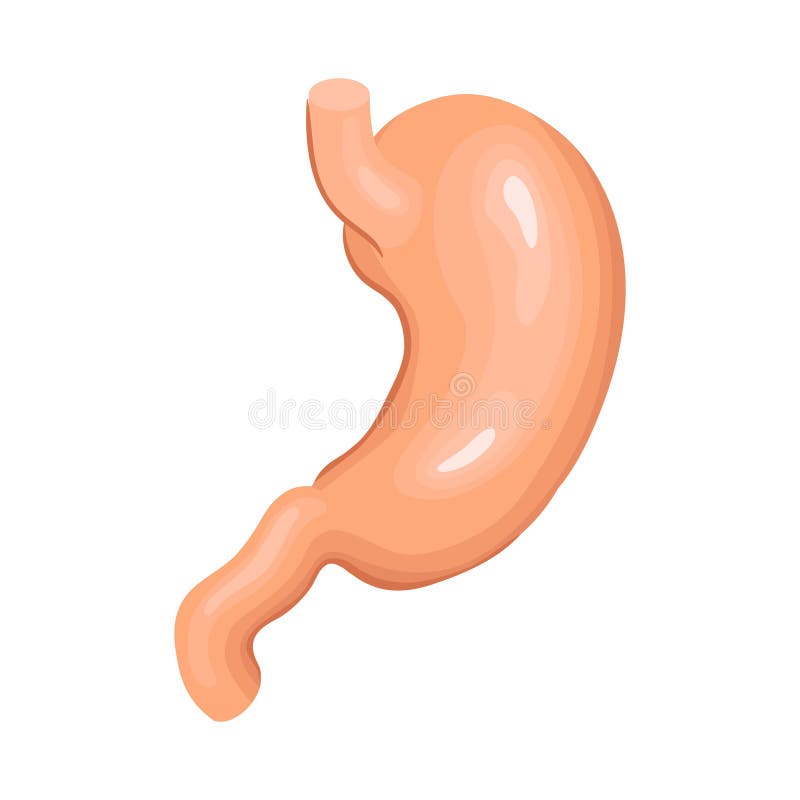 Isometric Organs Stock Illustrations – 311 Isometric Organs Stock ...