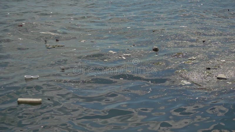 Human Originated Garbage in the Stream Stock Footage - Video of carrier ...