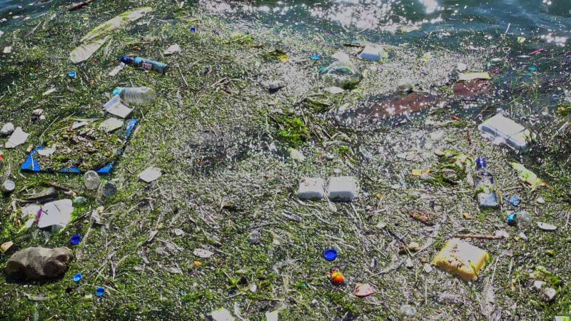 Human Originated Garbage in the Stream Stock Footage - Video of carrier ...