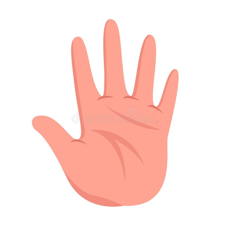 Human Palm or Hand Skin Vector Image, Sense of Touch, Five Human Senses ...