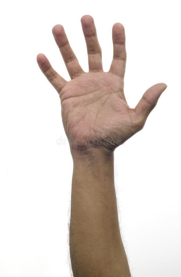 Human Palm stock image. Image of martial, grabbing, feeling - 62541369
