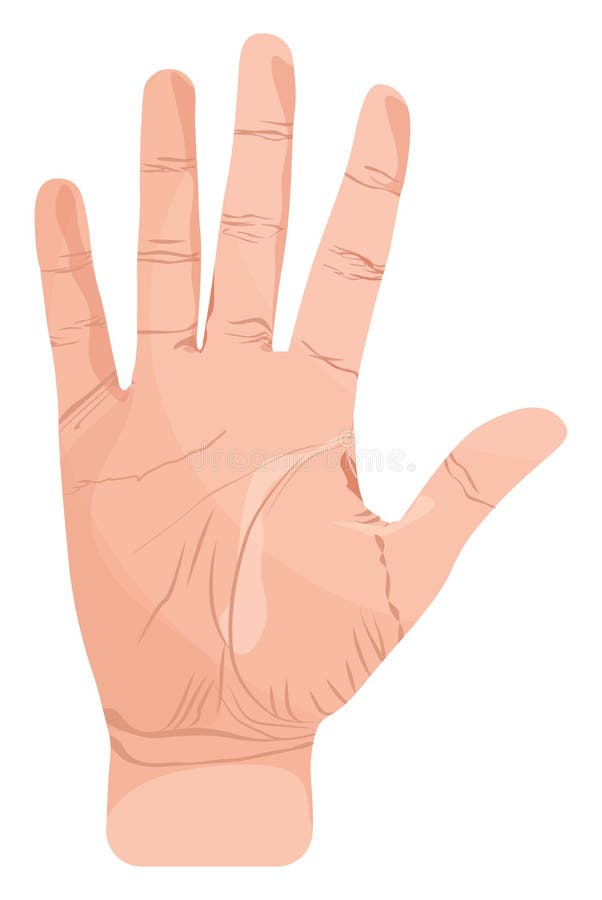 Human palm, icon stock vector. Illustration of sketch - 261386046