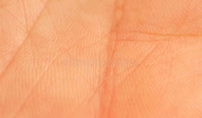 1,934 Human Skin Palm Texture Stock Photos - Free & Royalty-Free Stock ...