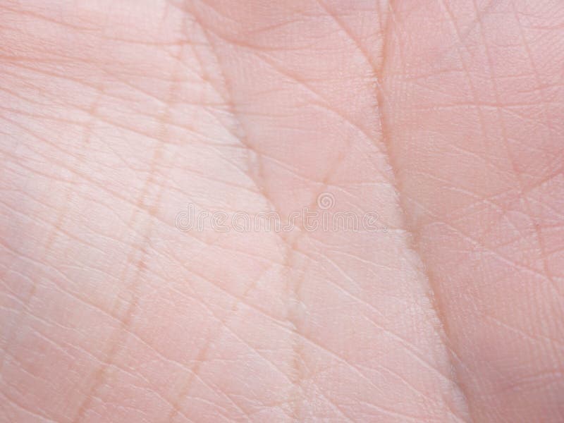 1,167 Human Skin Palm Texture Stock Photos - Free & Royalty-Free Stock ...