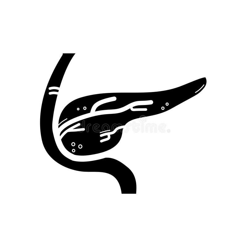 Human Pancreas - Vector Icon Stock Illustration - Illustration of ...