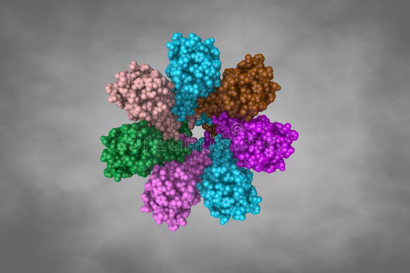 Space-filling Molecular Model of Human Pannexin 1 on Grey Background ...