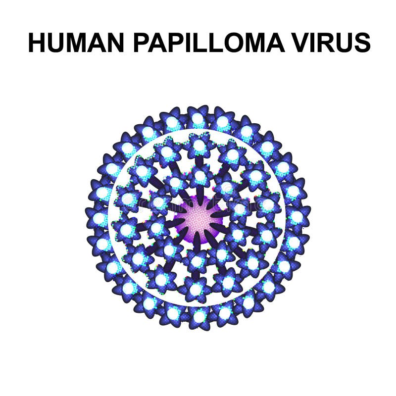 Human Papilloma Virus (HPV) Capsid Protein Stock Illustration ...