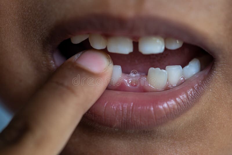Human Parts Model in Science Lab. Stock Photo - Image of class, liver ...
