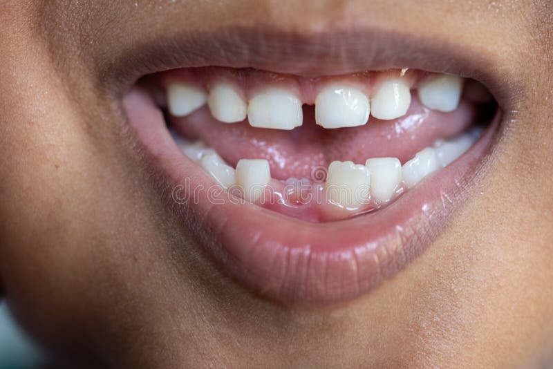 Human Parts Model in Science Lab. Stock Photo - Image of biology ...