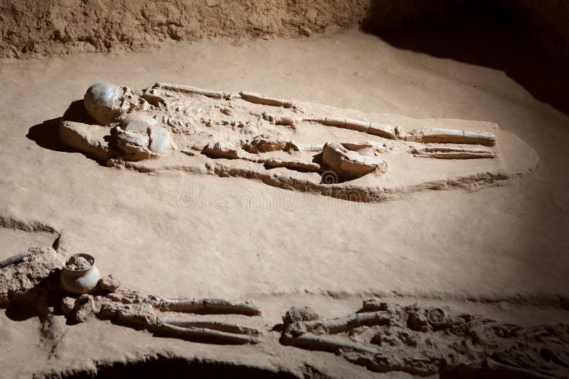 Ancient Human Bones - Hands and Vertebrae Stock Image - Image of ...