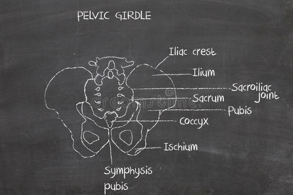 4,487 Dot Human Illust Stock Photos - Free & Royalty-Free Stock Photos ...