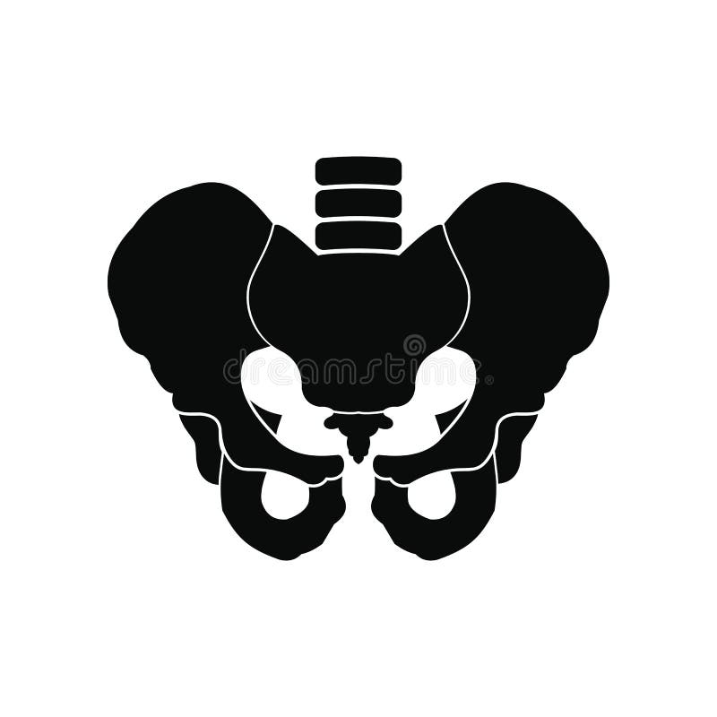 Pelvis Shape Stock Illustrations – 295 Pelvis Shape Stock Illustrations ...