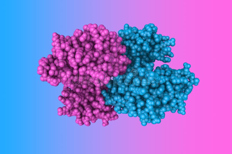 Human Phosphatidylinositol 4-kinase III Beta in Complex with Ligand ...