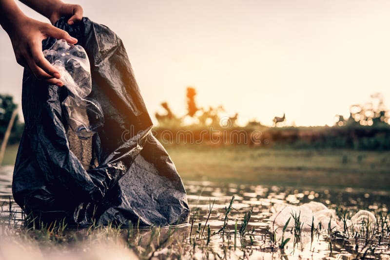 Human Picking Croissant into Platter by Tongs at Breakfast Buffet Stock ...