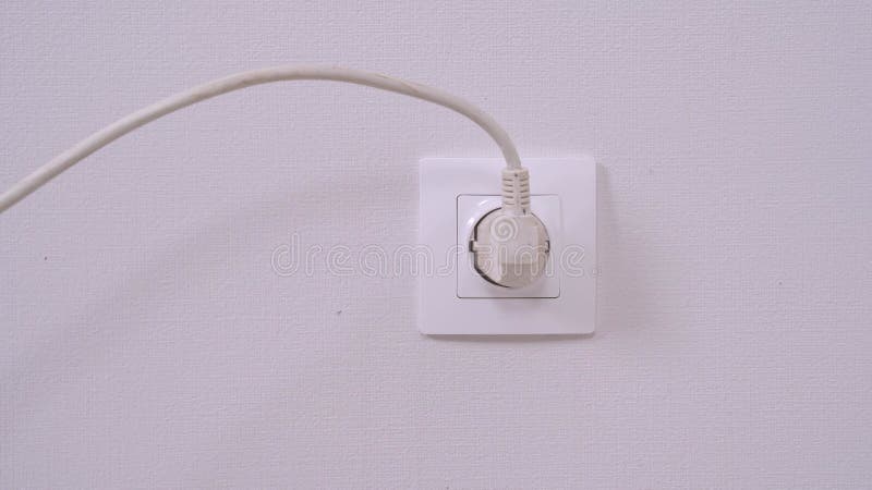 Smart Obedient Dog Pulls Out Wire, Turning Off Device or Household ...