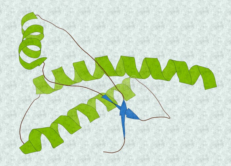 Prion Diseases Stock Illustrations – 32 Prion Diseases Stock ... Prion Diseases Stock Illustrations – 32 Prion Diseases Stock ...