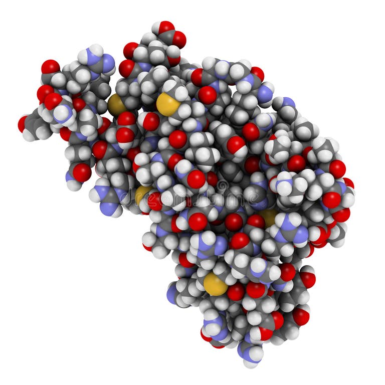Human Prion Protein Stock Illustrations – 29 Human Prion Protein Stock ... Human Prion Protein Stock Illustrations – 29 Human Prion Protein Stock ...