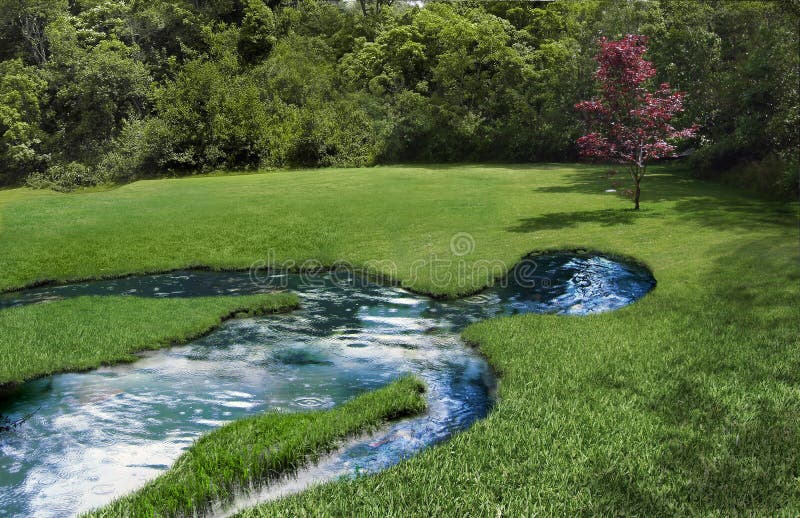 Human puddle stock image. Image of puddle, forest, discovery - 11324651