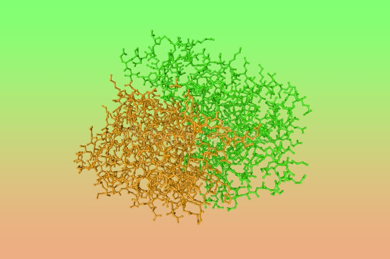 Human Quinone Reductase 2. Rendering with Differently Colored Protein ...