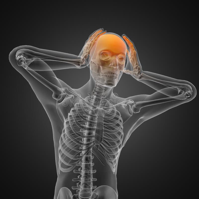 Chakra System of Human Energy Torus Fields Stock Illustration ...