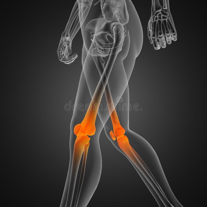 Human radiography scan stock illustration. Illustration of examination ...