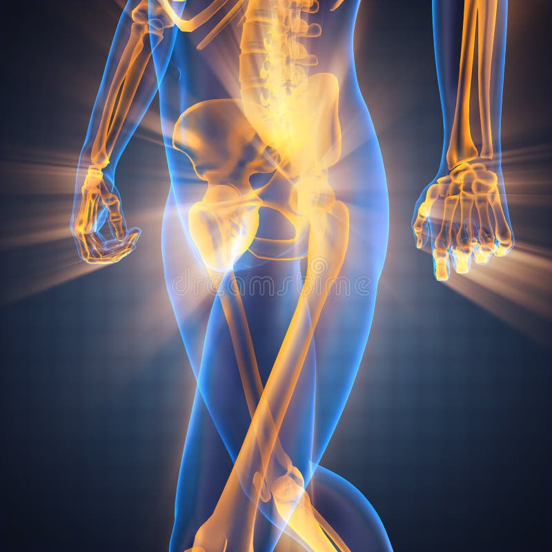 Human radiography scan stock photo. Image of body, black - 62377250
