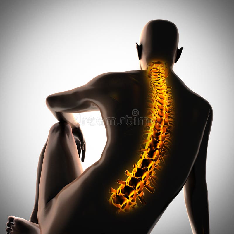 Human Radiography Scan with Glowing Bones Stock Illustration ...