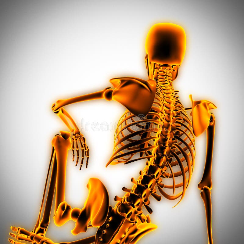 Human Radiography Scan with Glowing Bones Stock Illustration ...